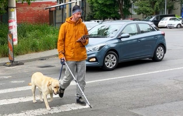 Smartphone Zombies Cause Huge Guide Dog Shortage